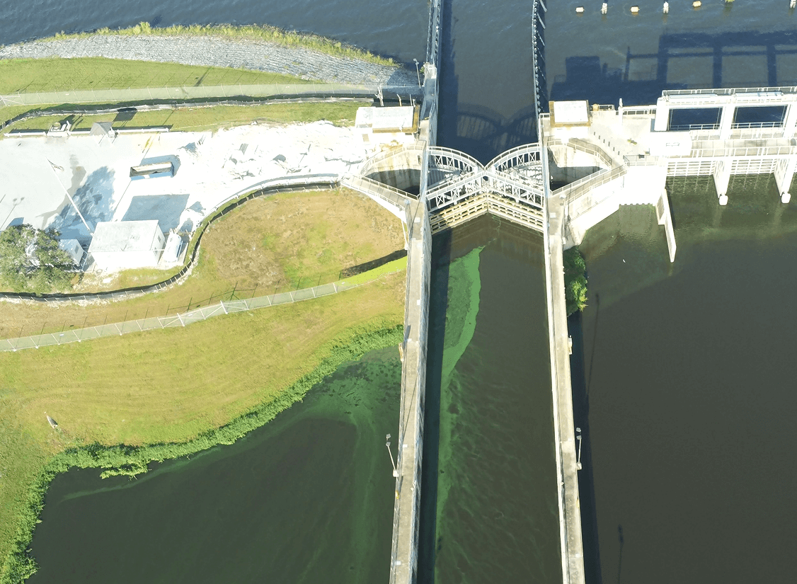 Scientists trace sources of South Florida’s harmful algal blooms ...