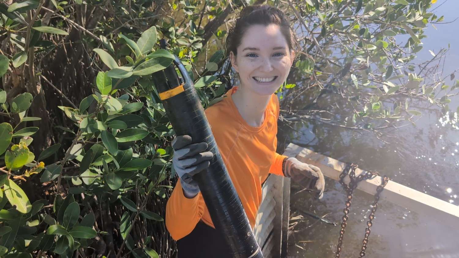 Could wetlands modified to control mosquitoes also help clean Florida’s ...