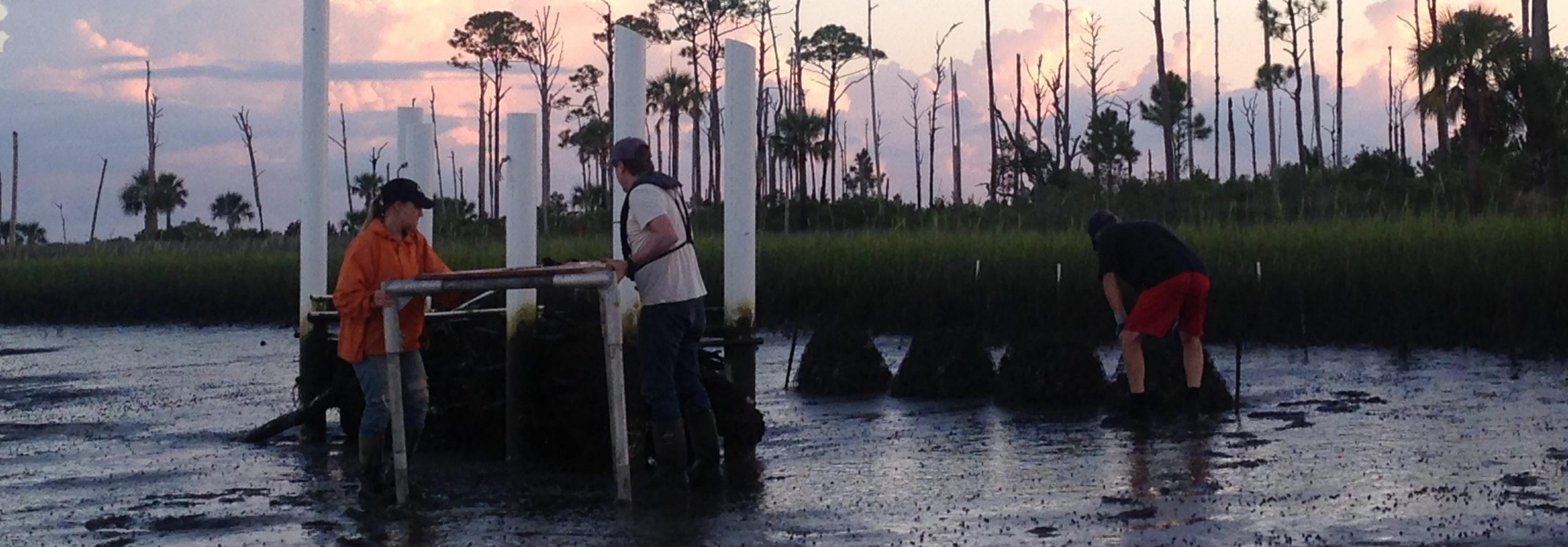 NOAA Living Shorelines - Coastal Ecosystem Dynamics