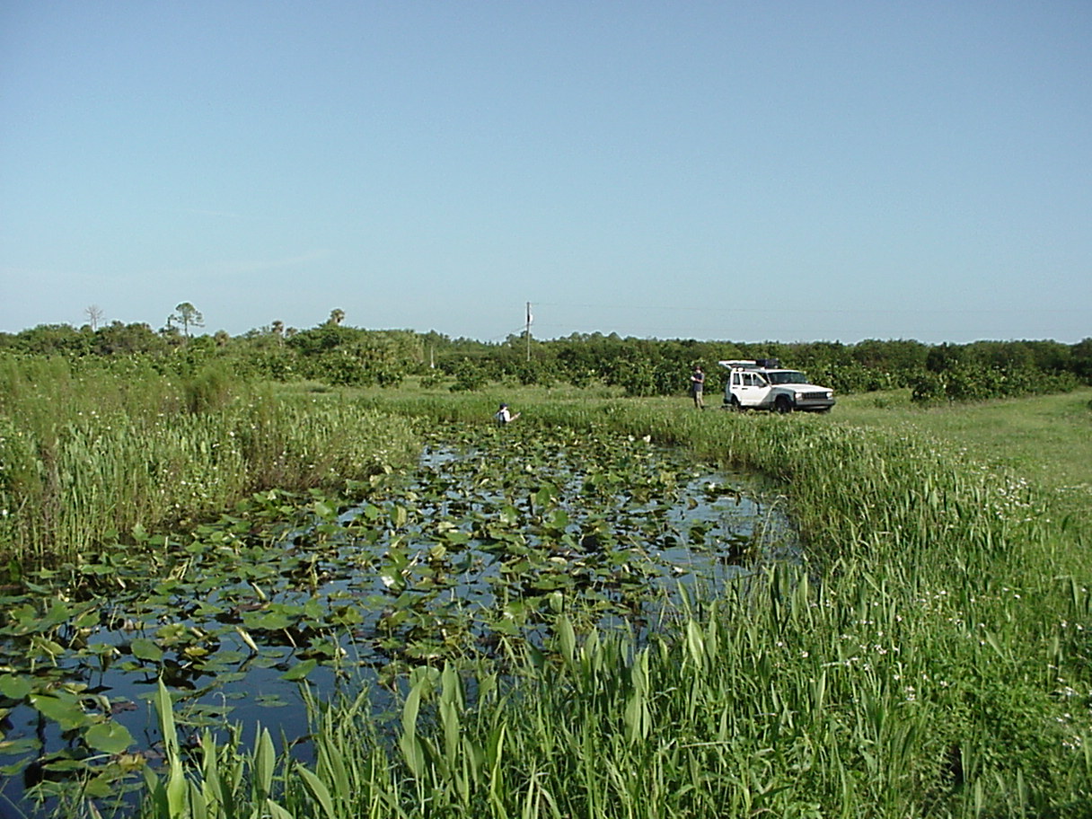 About - Howard T. Odum Center for Wetlands