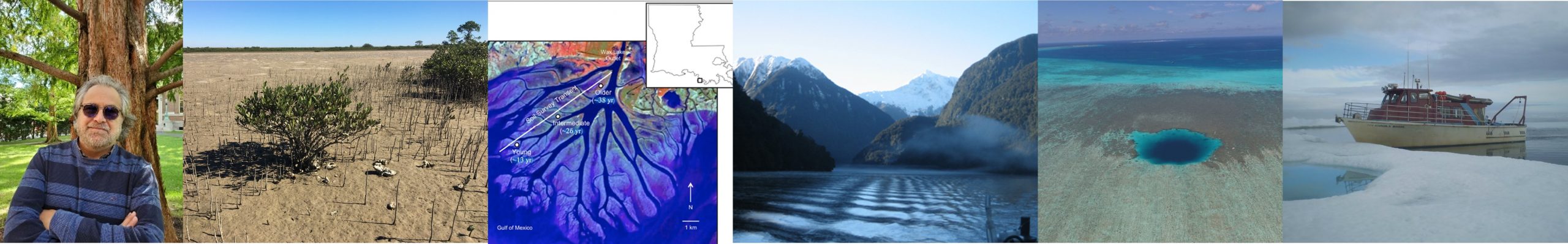 Carbon processing at the land-ocean interface: challenges in the 21st ...