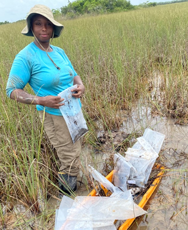 EPA National Wetland Condition Assessment - Howard T. Odum Center for ...
