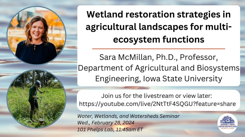 Wetland restoration strategies in agricultural landscapes for multi ...