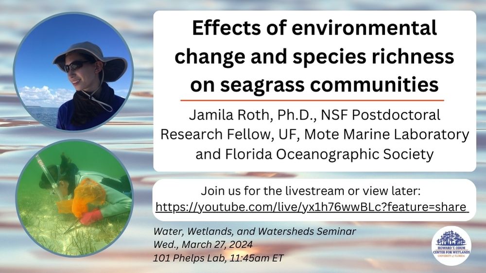 Effects of environmental change and species richness on seagrass ...