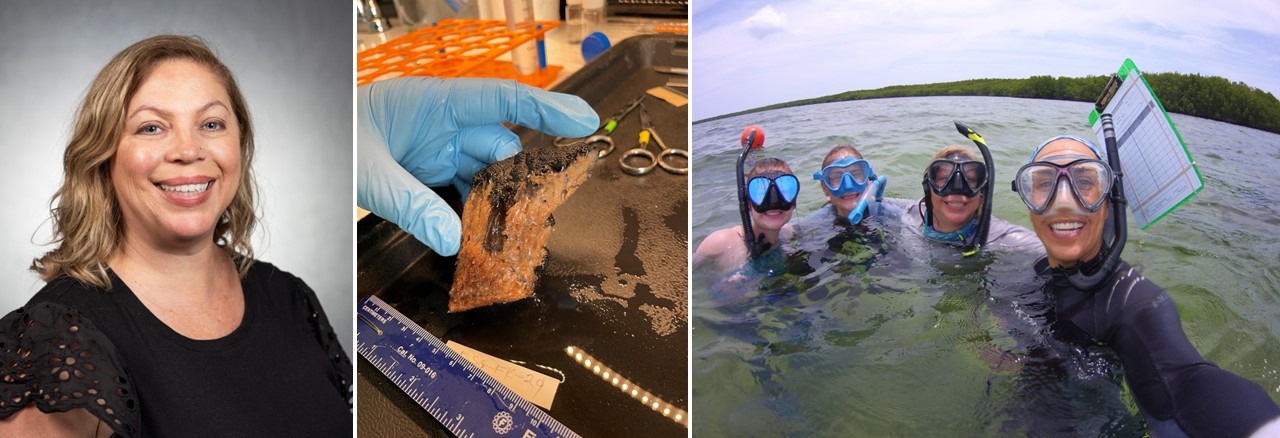 Shallow-water Sponge Restoration Aquaculture in the Florida Keys ...