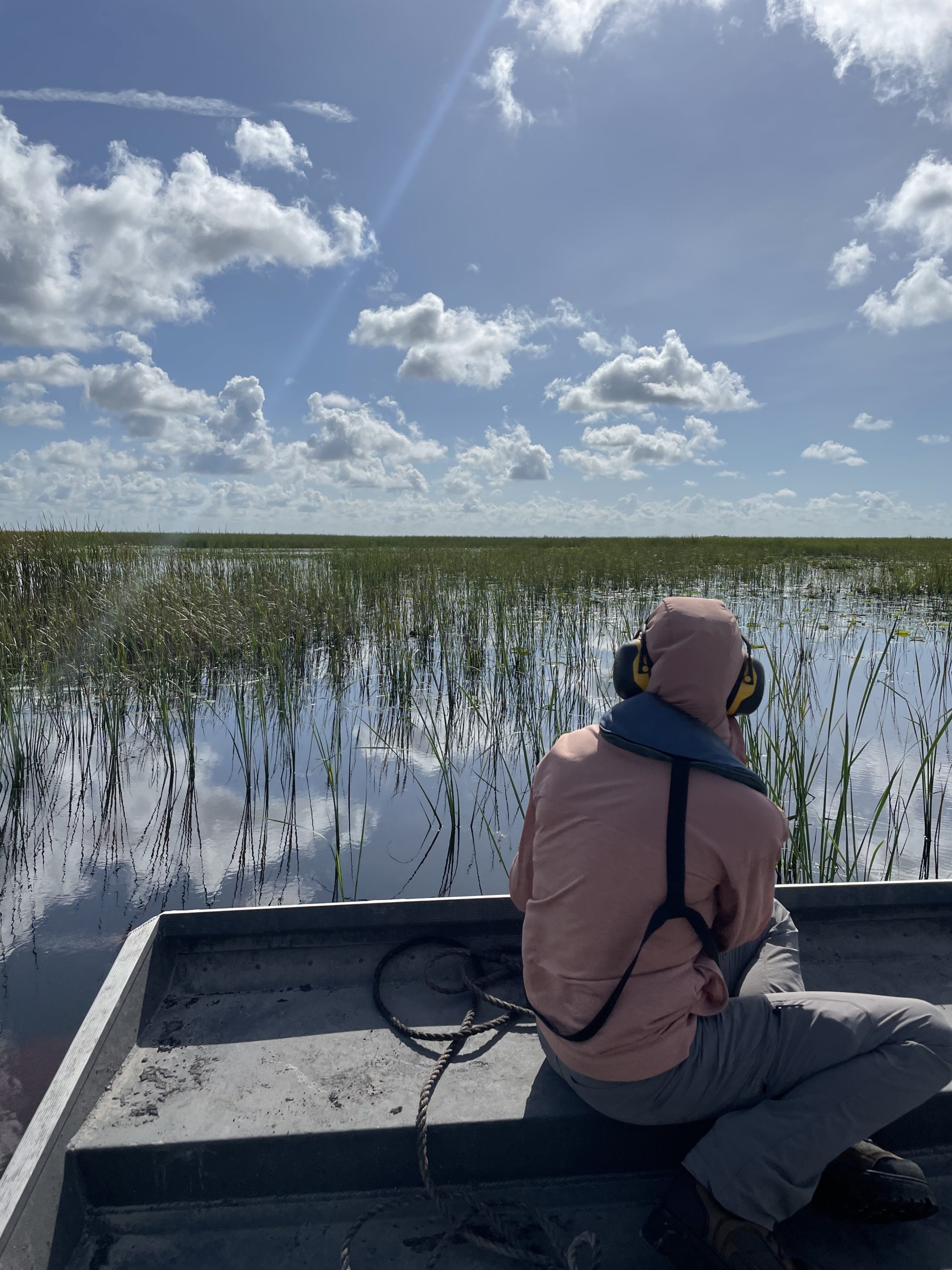 Morrison Research Group - Morrison Research Group