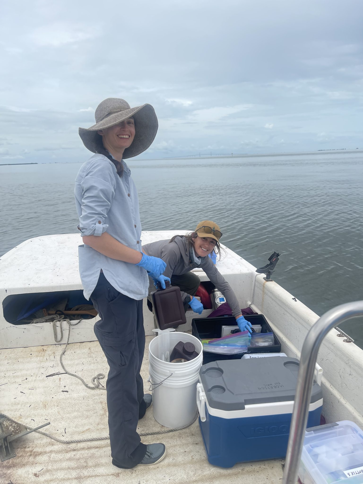 Morrison Research Group - Morrison Research Group