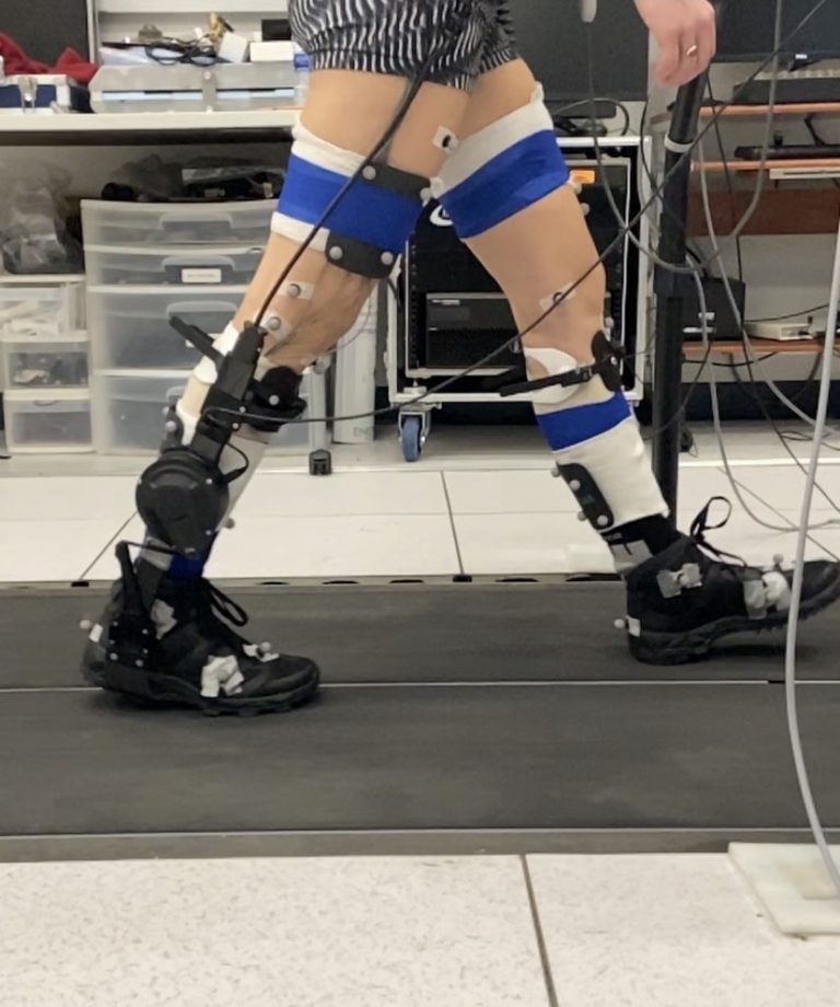 Research – Human Neuromechanics Laboratory