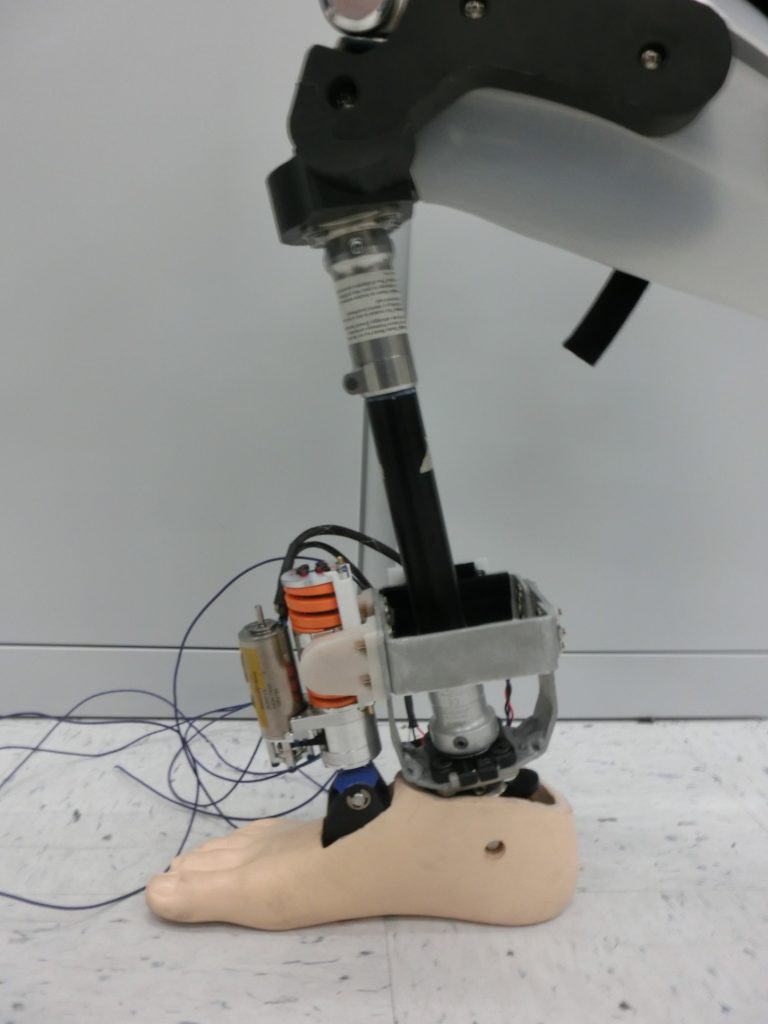 Research – Human Neuromechanics Laboratory