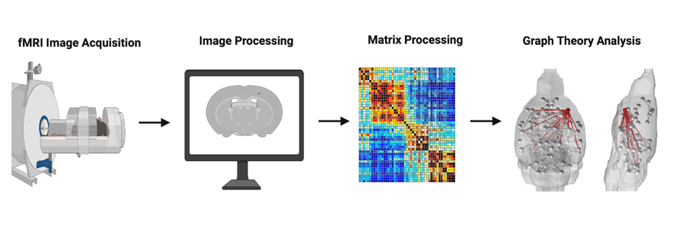 AI/ML Applications in Engineering - Nino Research Group