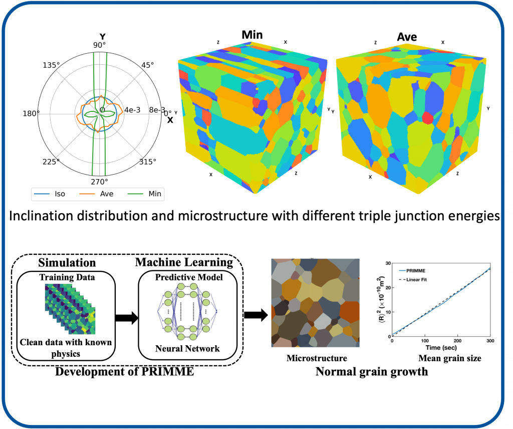 Research – Tonks Research Group