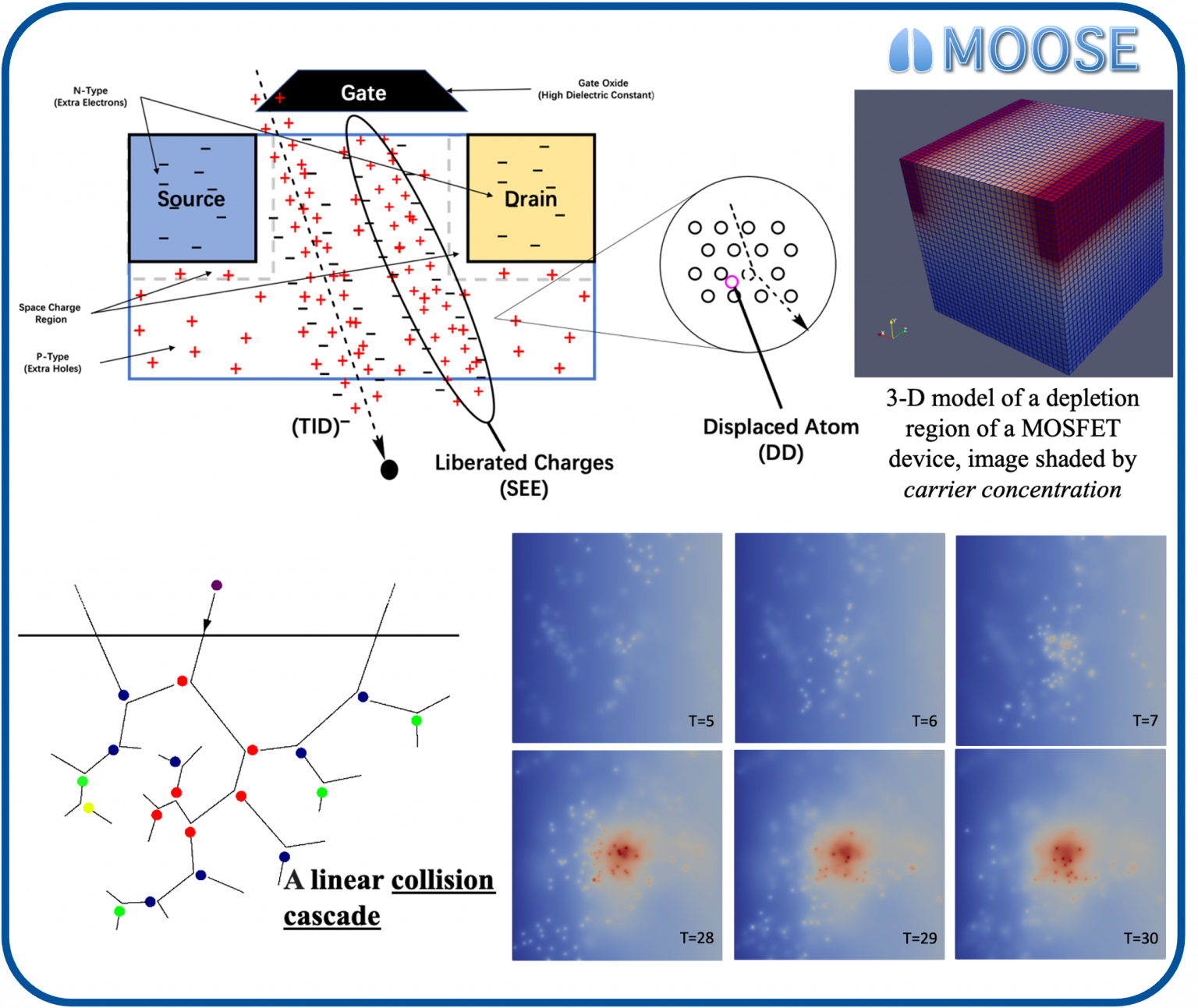 Research – Tonks Research Group