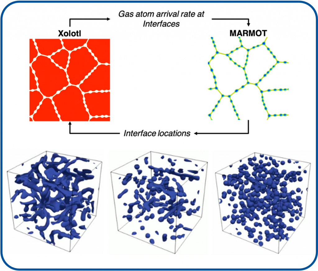 Research – Tonks Research Group